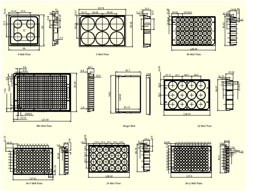24 Well Plate Surface Area Slidesharedocs